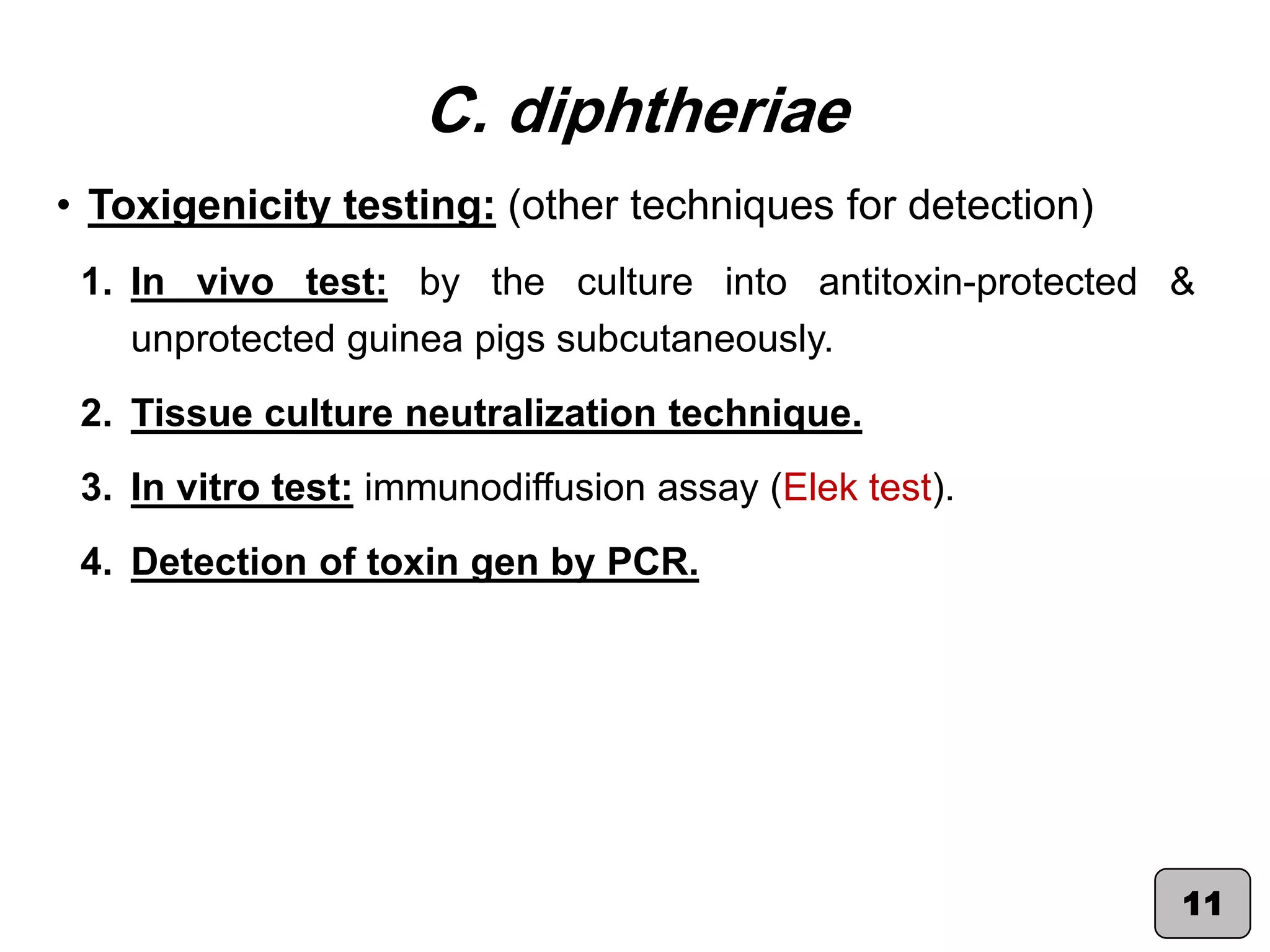 Corynebacterium spp. & Listeria monocytogenes (Practical Medical ...