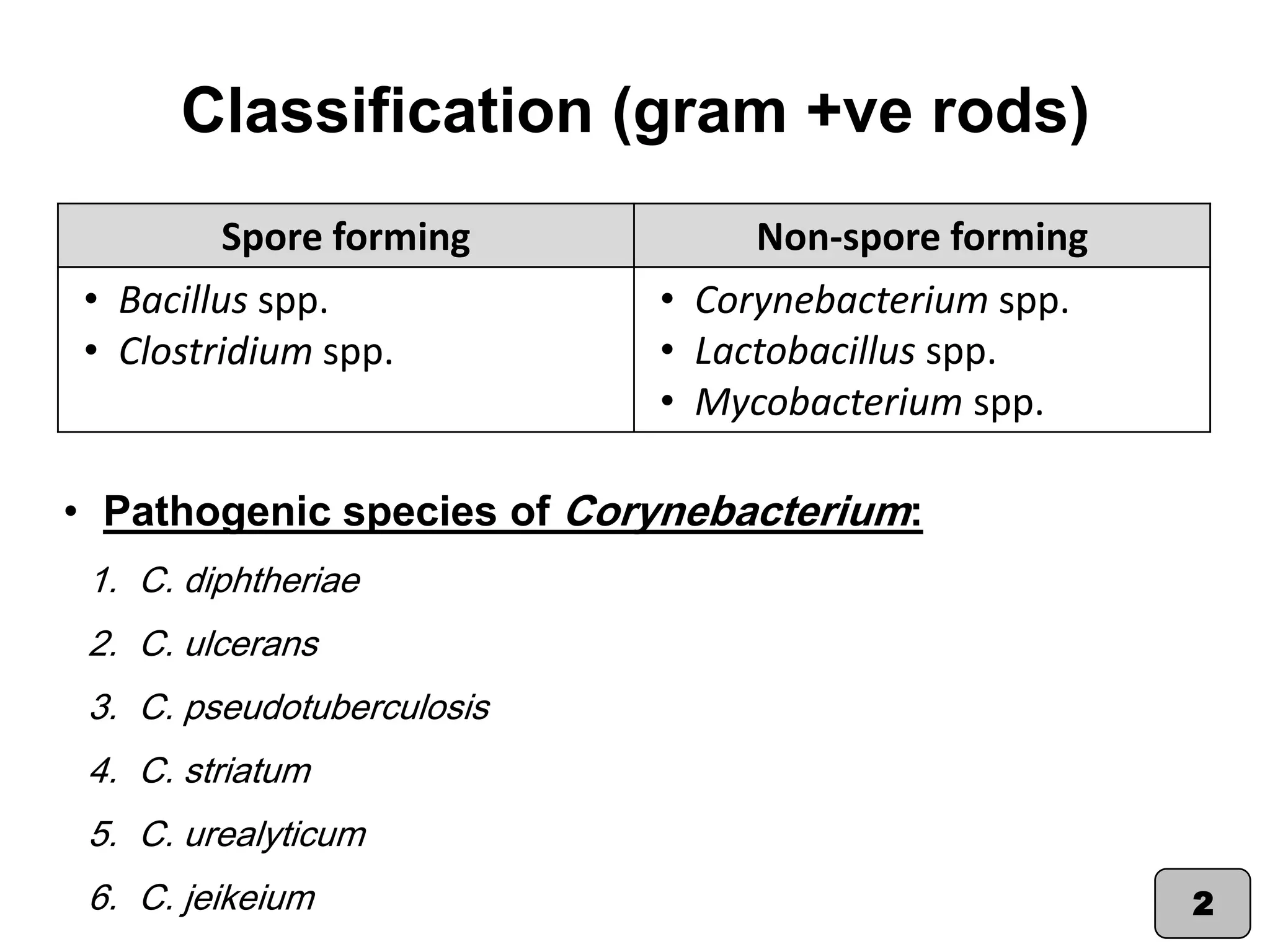 Corynebacterium spp. & Listeria monocytogenes (Practical Medical ...