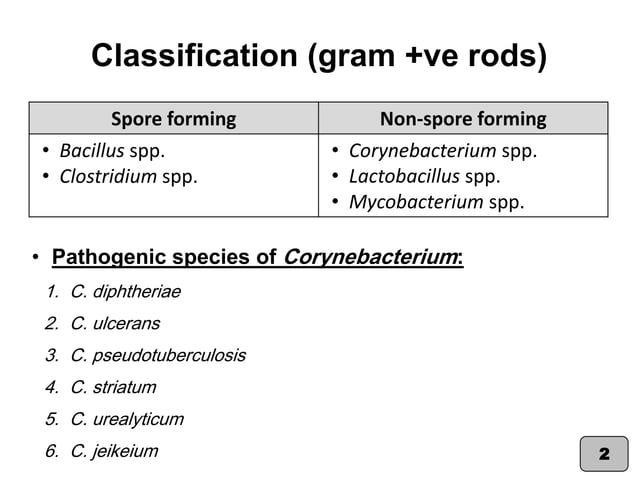 Corynebacterium spp. & Listeria monocytogenes (Practical Medical ...