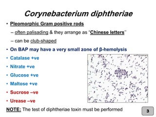 Corynebacterium spp. & Listeria monocytogenes (Practical Medical ...