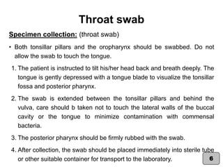 Corynebacterium spp. & Listeria monocytogenes (Practical Medical ...