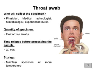 Corynebacterium spp. & Listeria monocytogenes (Practical Medical ...