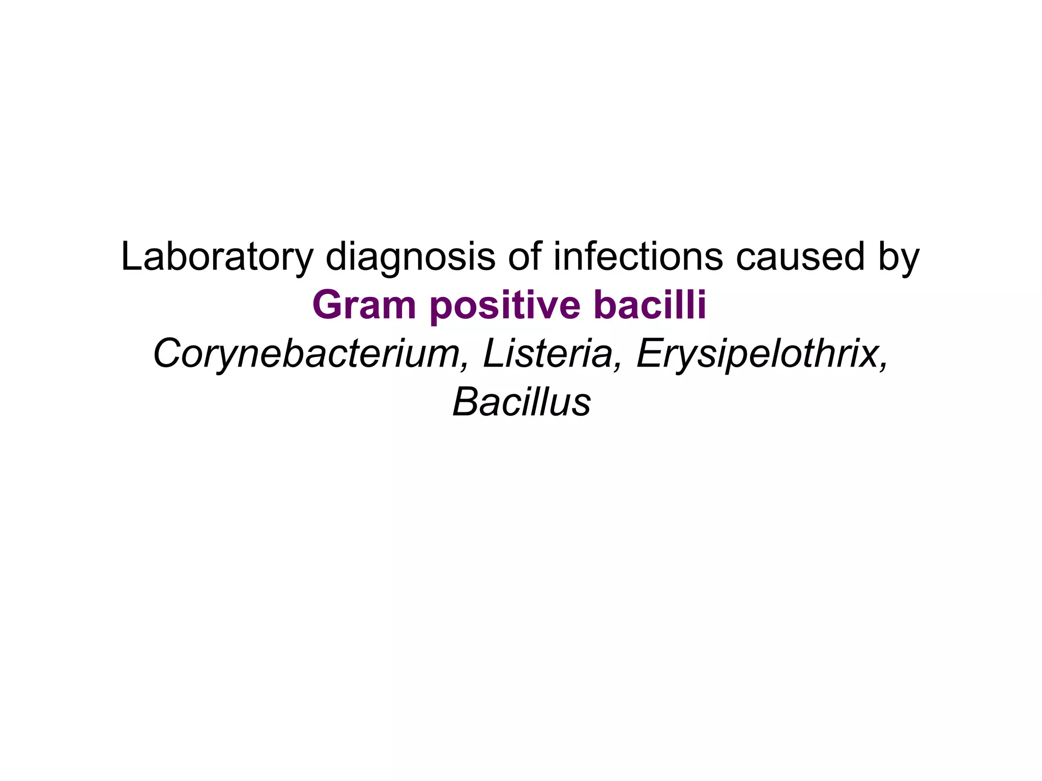 Corynebacterium listeria erysipelothrix_bacillus | PPT