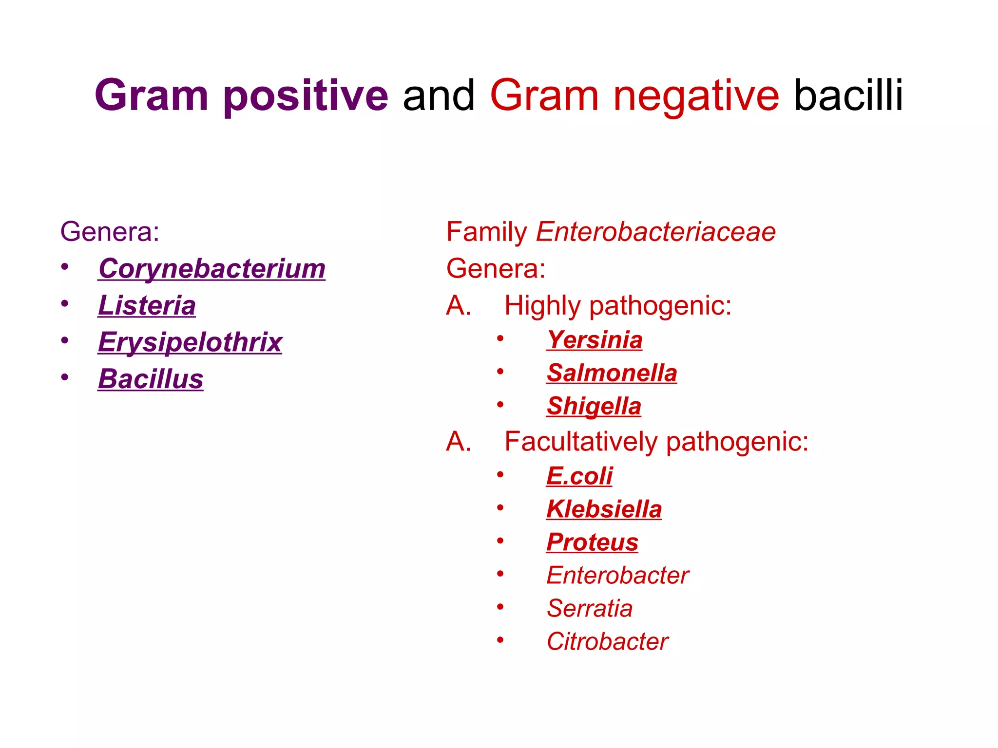 Corynebacterium listeria erysipelothrix_bacillus | PPT