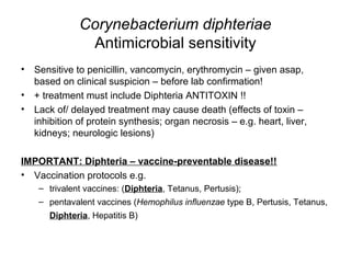 Corynebacterium listeria erysipelothrix_bacillus | PPT