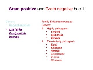 Corynebacterium listeria erysipelothrix_bacillus | PPT