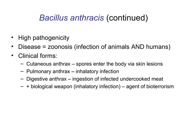 Corynebacterium listeria erysipelothrix_bacillus | PPT
