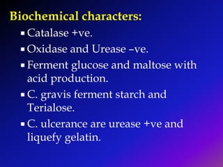 Corynebacterium mahadi ppt | PDF