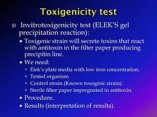 Corynebacterium mahadi ppt | PDF