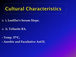 Corynebacterium mahadi ppt | PDF