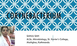Corynebacterium diphtheriae notes by SANJU SAH(Vyagute rog).pptx