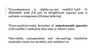 Corynebacterium diphtheriae notes by SANJU SAH(Vyagute rog).pptx