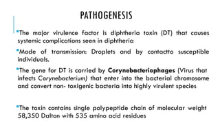 Corynebacterium diphtheriae notes by SANJU SAH(Vyagute rog).pptx