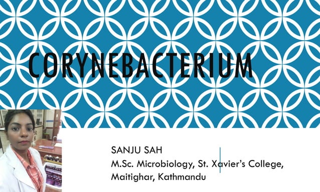 Corynebacterium notes by SANJU SAH(Vyagute rog).pptx