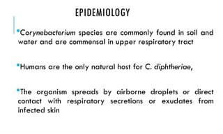 Corynebacterium notes by SANJU SAH(Vyagute rog).pptx