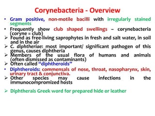 Corynebacterium toxins | PPTX