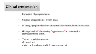 Corynebacterium, Trueperella and Rhodococcus.pdf