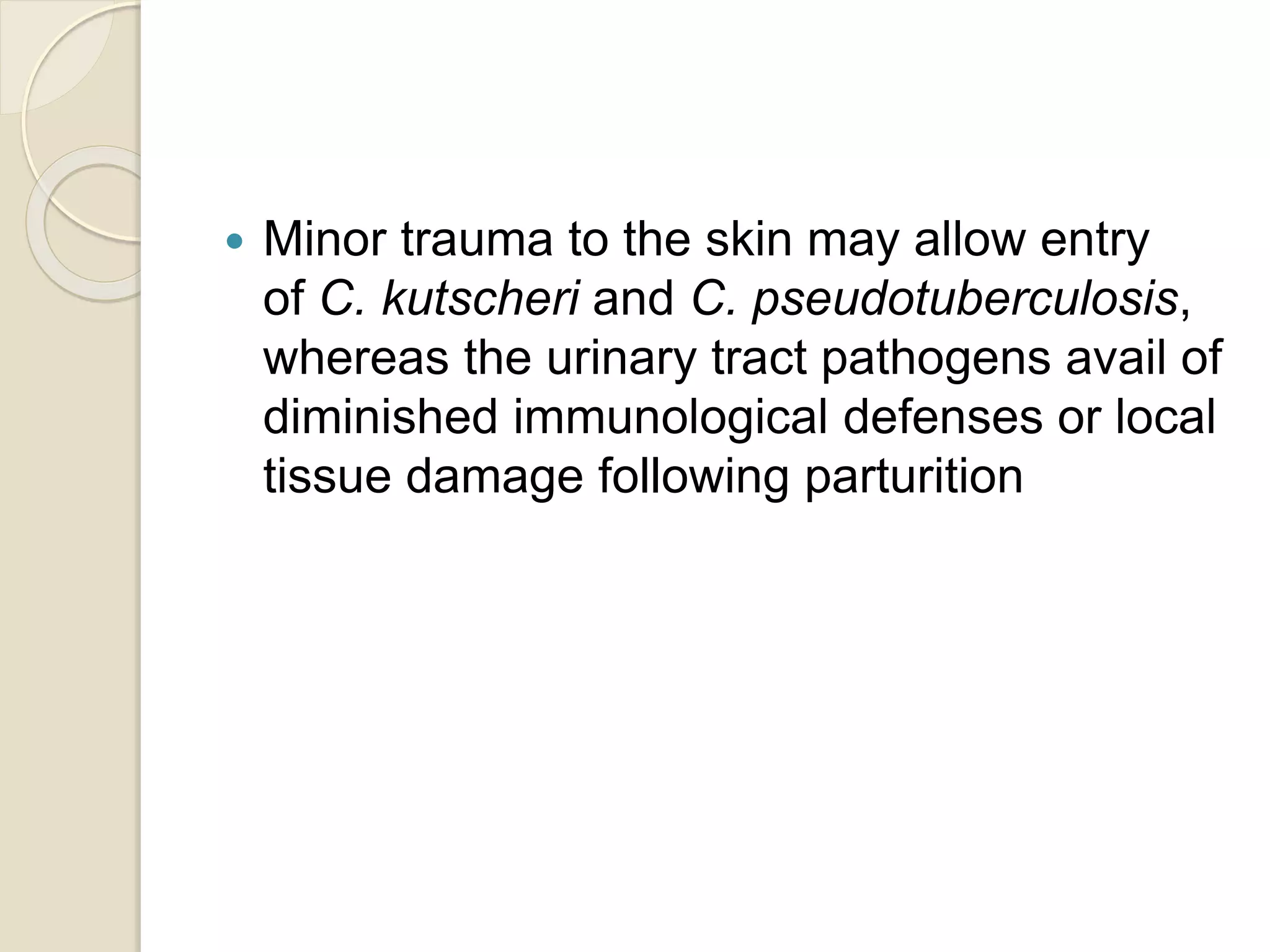 Coryneform Bacteria.pptx