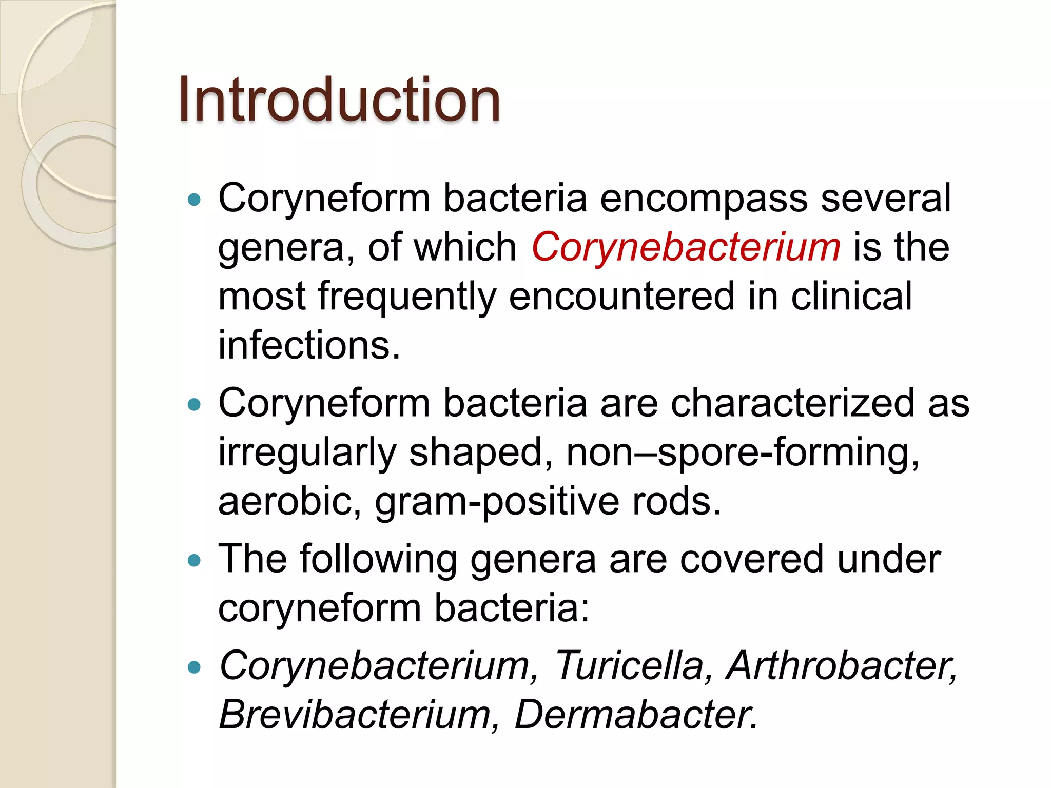 Coryneform Bacteria.pptx