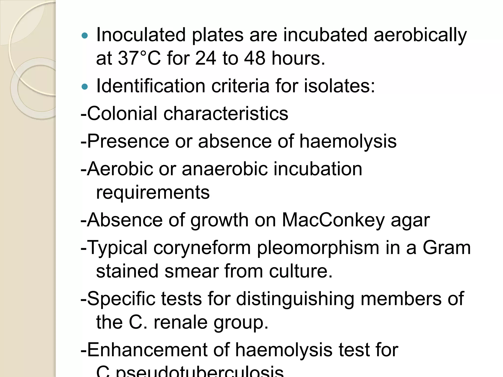 Coryneform Bacteria.pptx