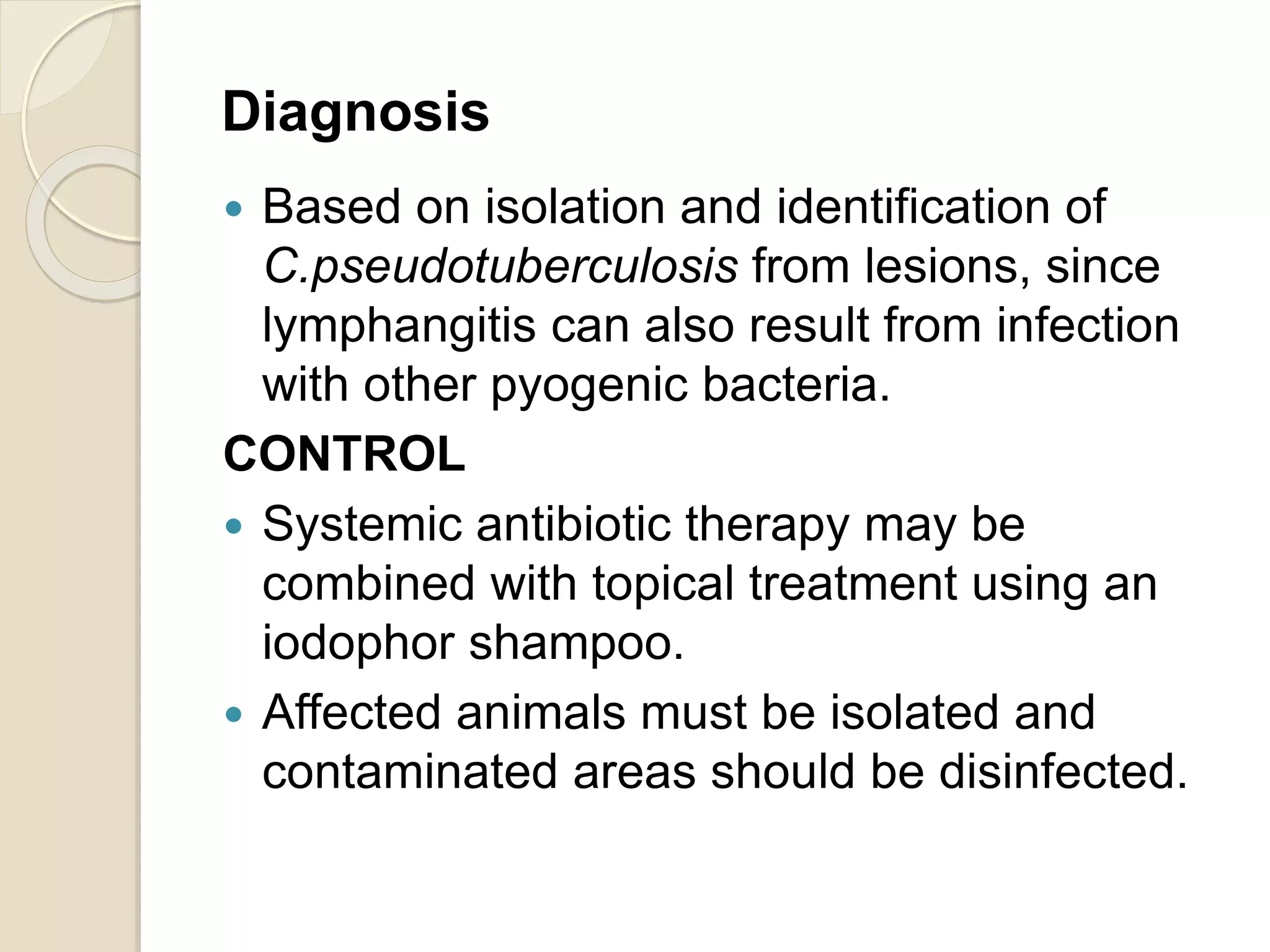 Coryneform Bacteria.pptx