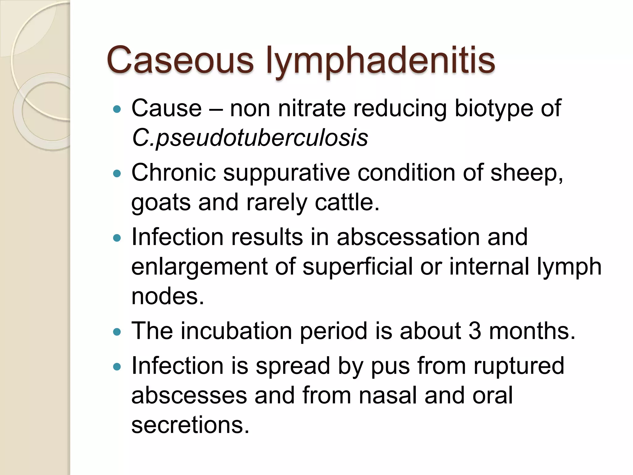 Coryneform Bacteria.pptx