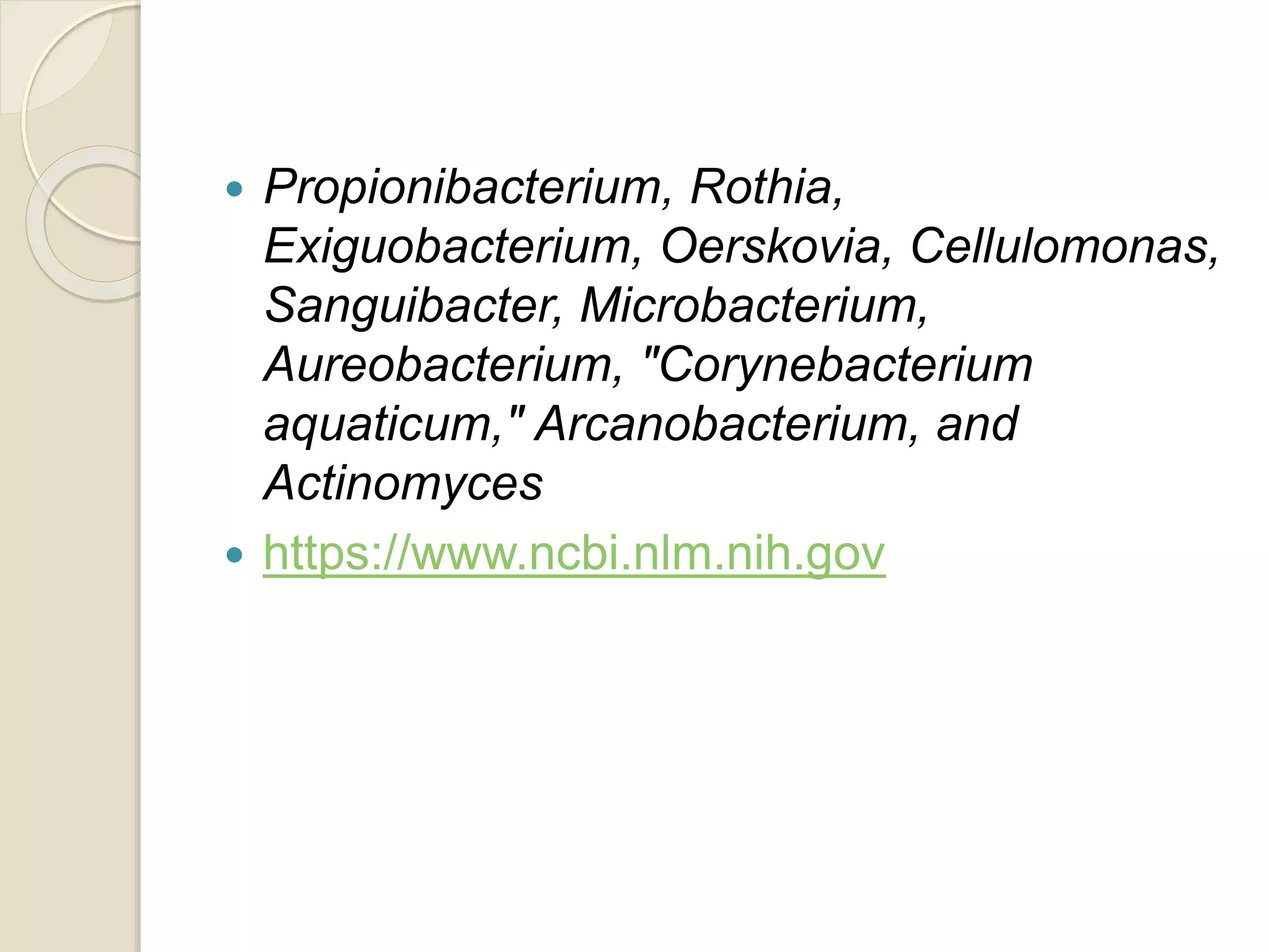 Coryneform Bacteria.pptx