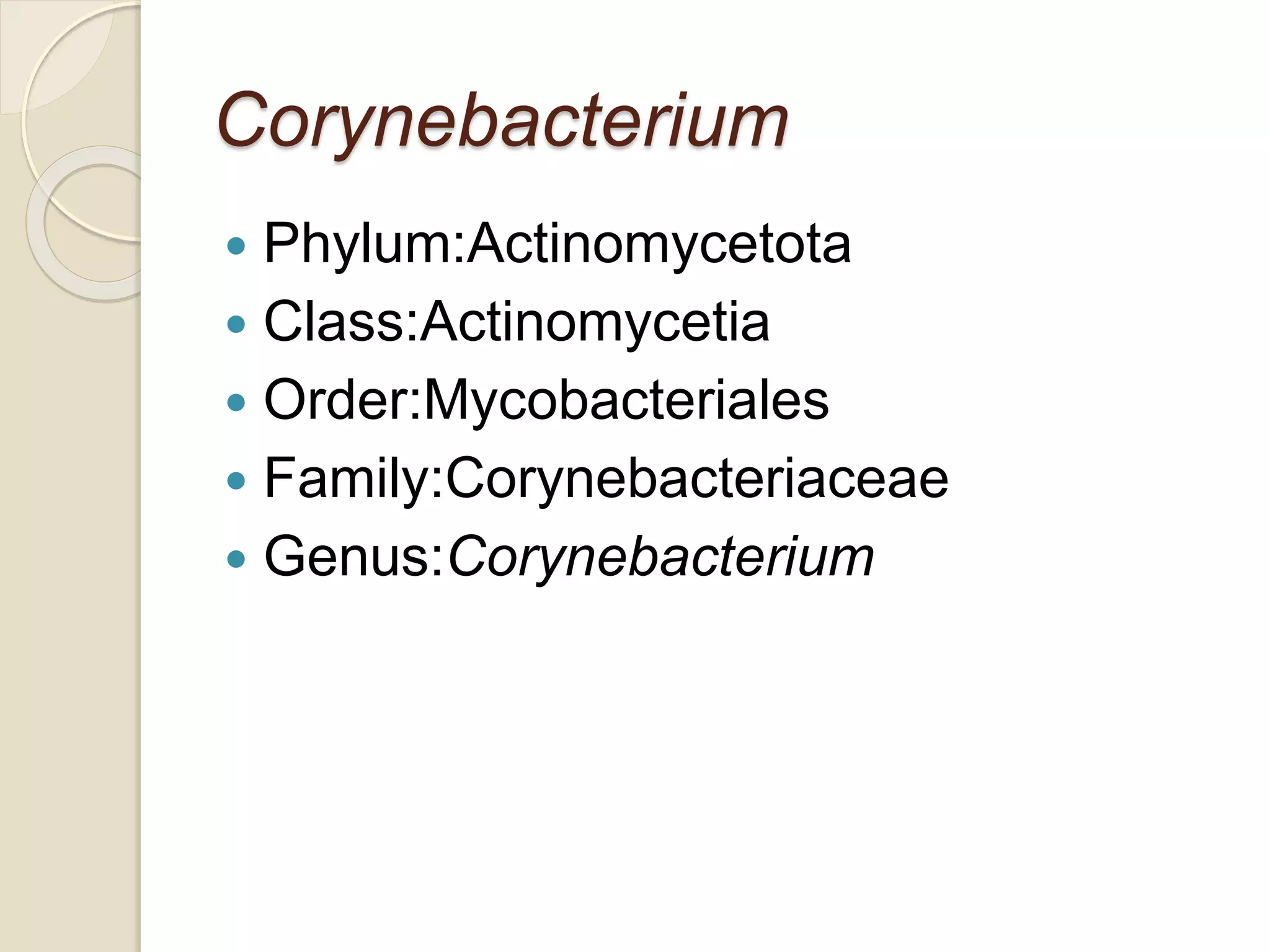 Coryneform Bacteria.pptx