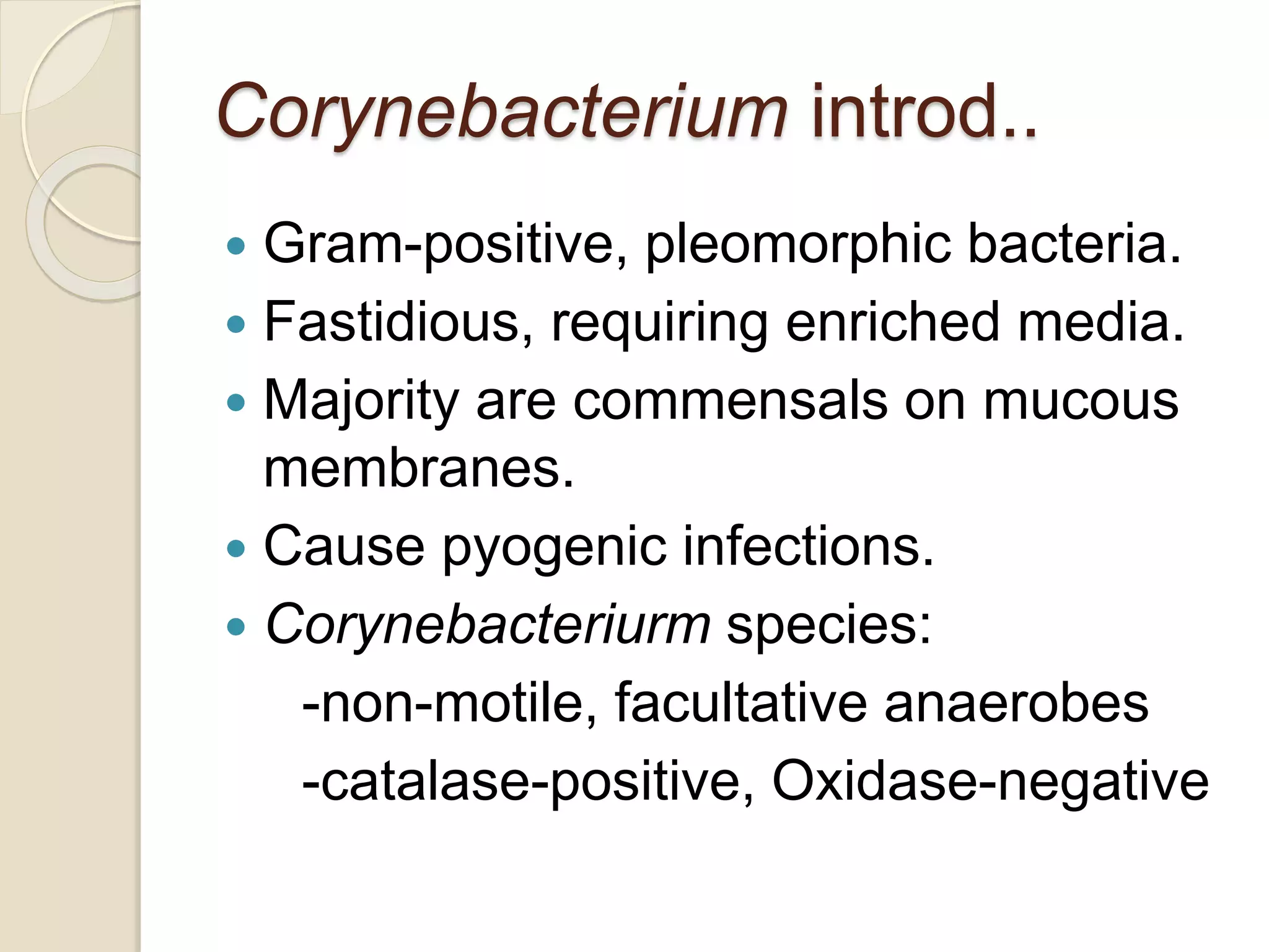 Coryneform Bacteria.pptx