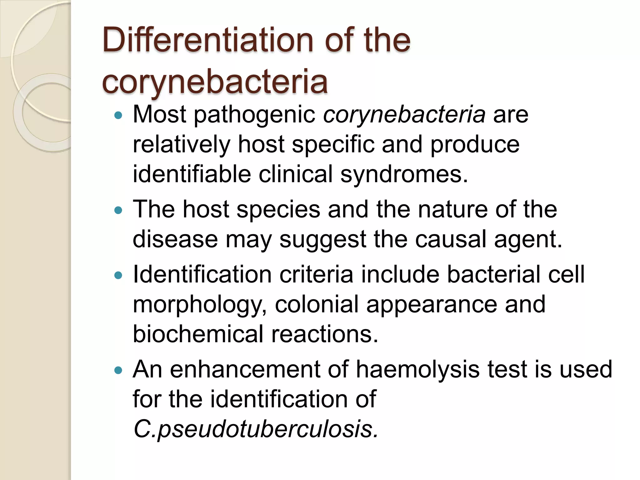 Coryneform Bacteria.pptx