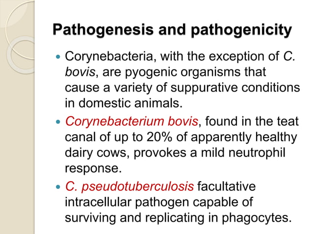 Coryneform Bacteria.pptx