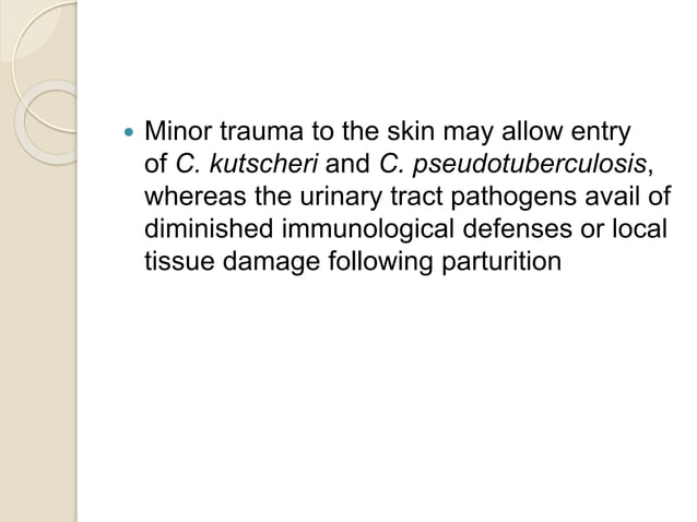 Coryneform Bacteria.pptx