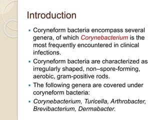 Coryneform Bacteria.pptx