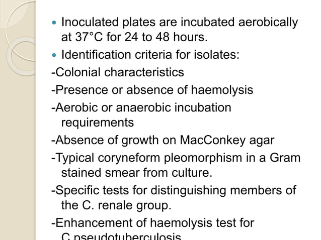 Coryneform Bacteria.pptx