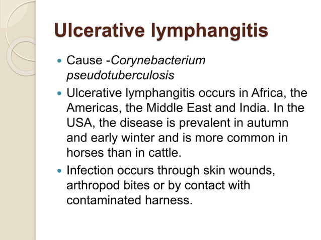 Coryneform Bacteria.pptx