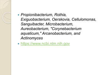 Coryneform Bacteria.pptx