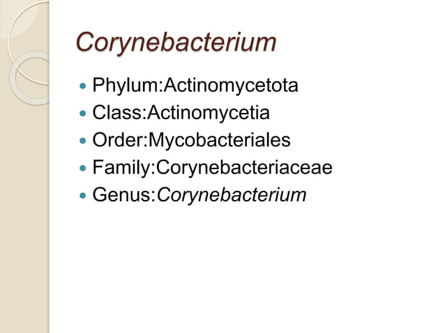 Coryneform Bacteria.pptx