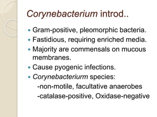 Coryneform Bacteria.pptx