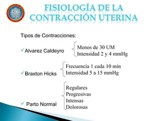 Fisiología de las contracciones uterinas | PPT
