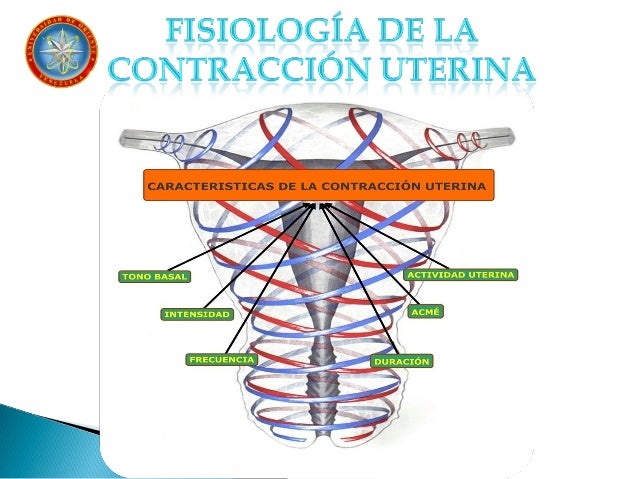 Fisiología de las contracciones uterinas