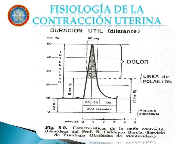 Fisiología de las contracciones uterinas
