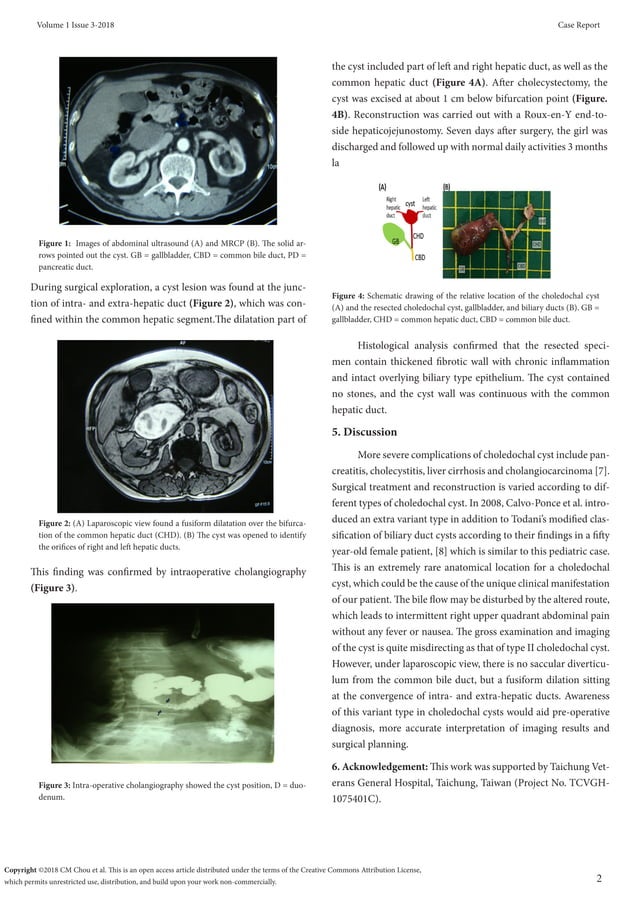 A Rare Case of Choledochal Cyst Connecting Intra- And ExtraHepatic Duct | PDF