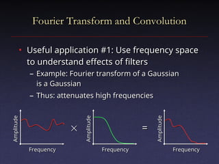 cos323_s06_lecture13_sigproc bio signal processing | PPT
