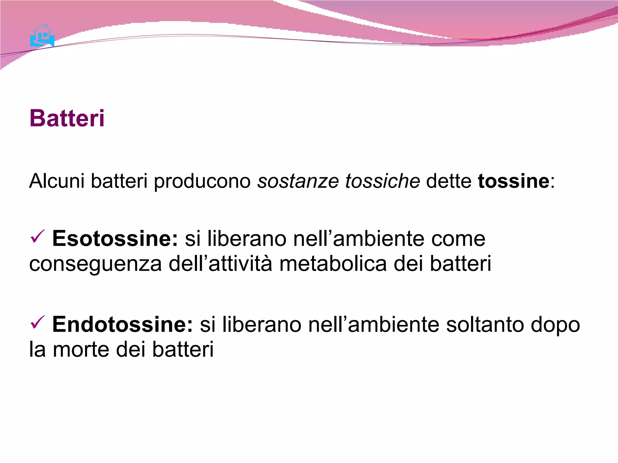 Cosa sono i_ germi_batteri | PPT
