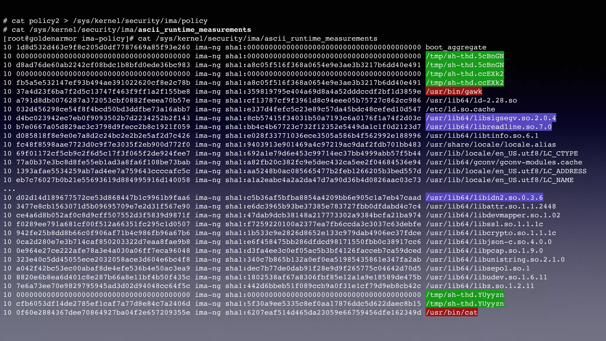 Linux Integrity Mechanisms - Protecting Container Runtime as an example ...