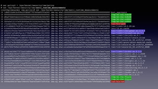 Linux Integrity Mechanisms - Protecting Container Runtime as an example | PPT