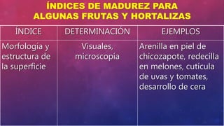 COSECHA DE FRUTAS Y HORTALIZAS (2).pdf