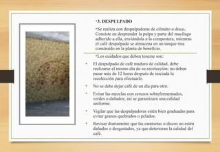 COSECHA_Y_BENEFICIADO_CAFE_EXPOSICION jairo 1 (3).pptx