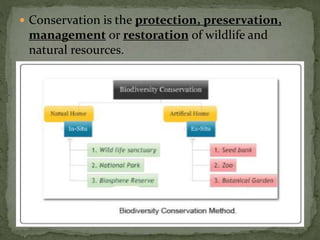In-situ conservation | PPTX