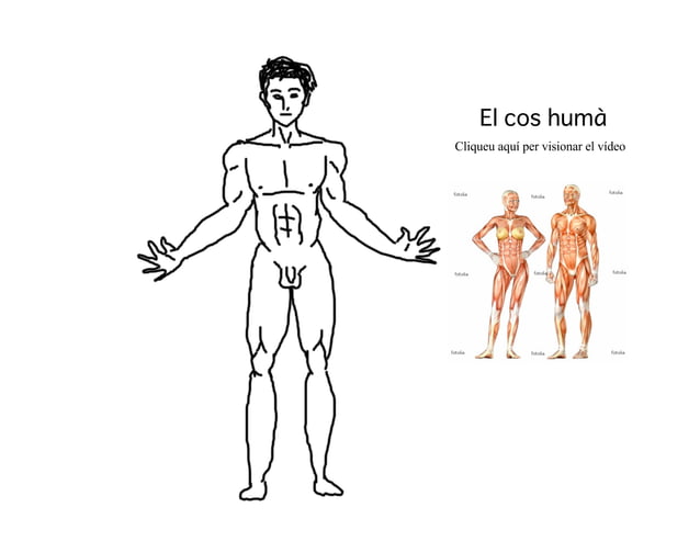 Cos Humà | PPT